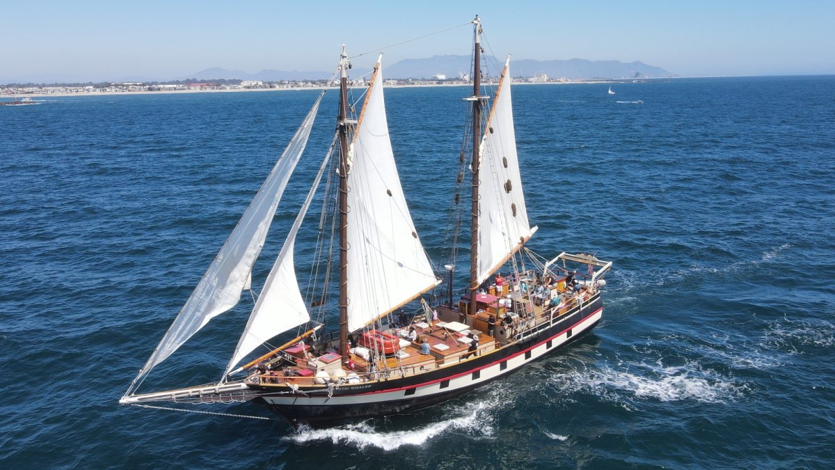 The Tall Ship Mystic Whaler is sailing for Ventura Harbor Village – NBC ...