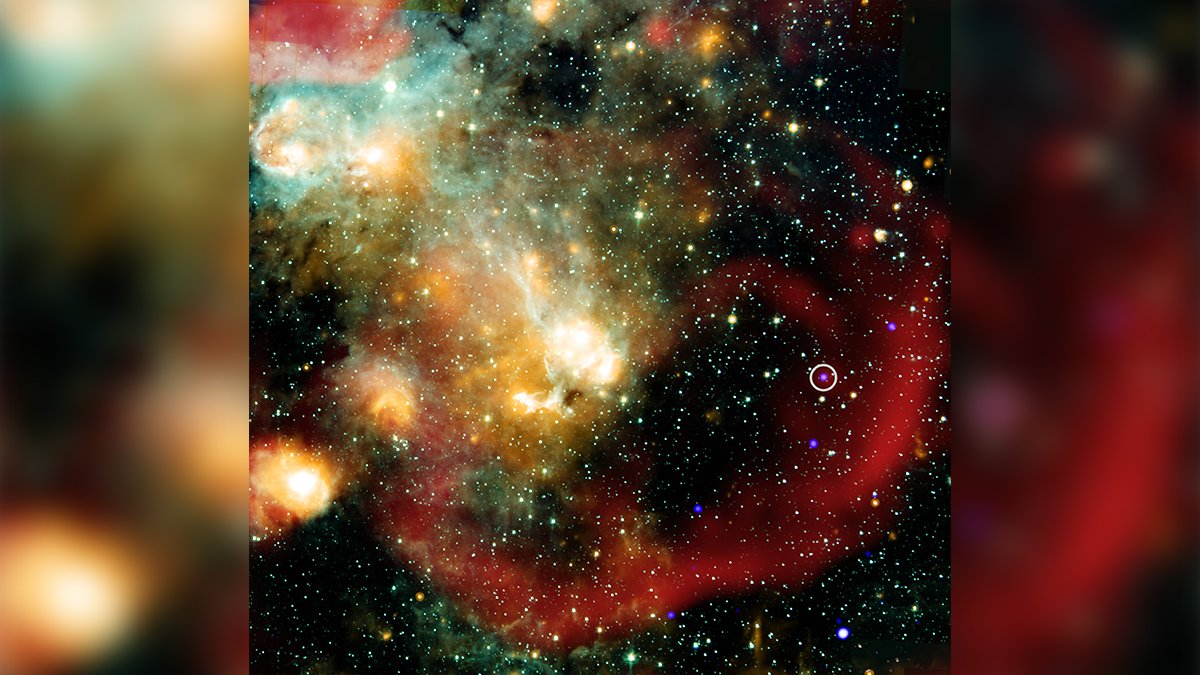 Strange celestial object discovered in Milky Way galaxy – NBC Los Angeles