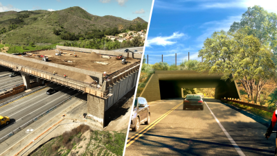 101 Freeway wildlife crossing enters final stage – NBC Los Angeles