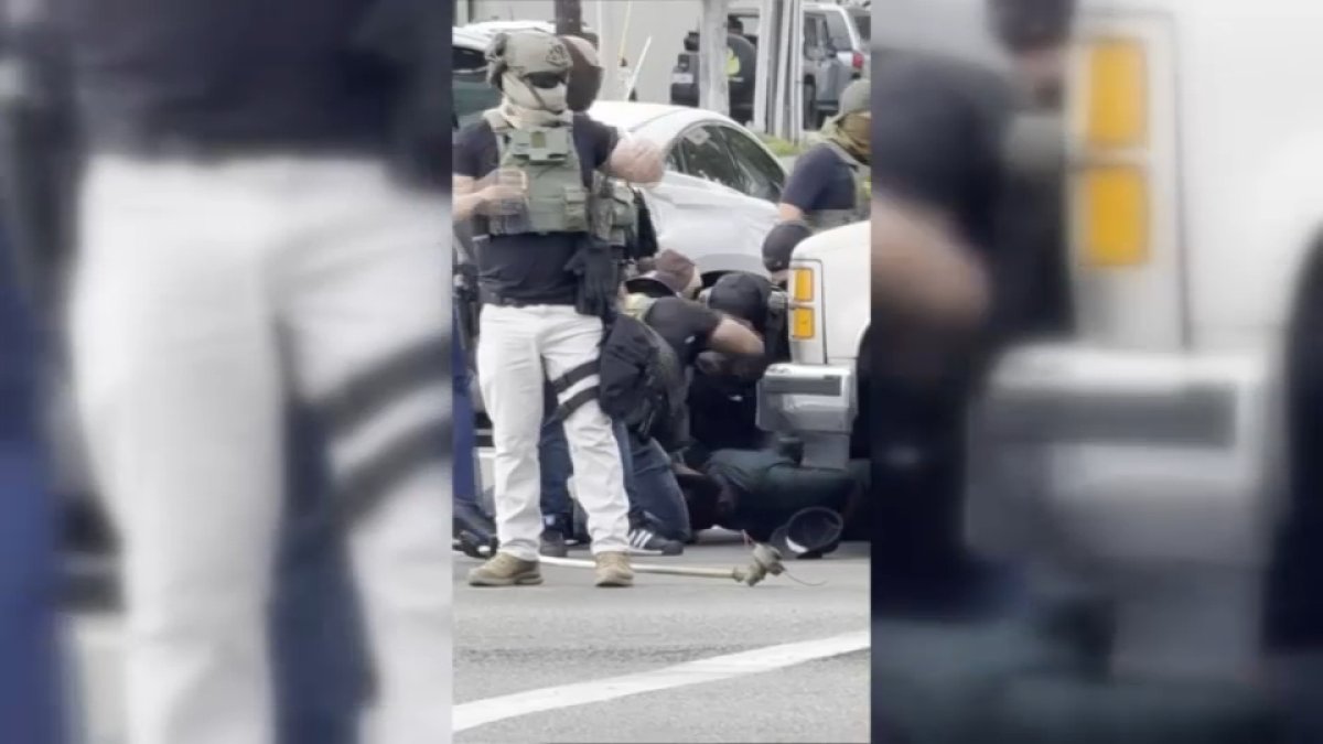 Video: Man punched, detained by Border Patrol agents in Santa Ana – NBC ...