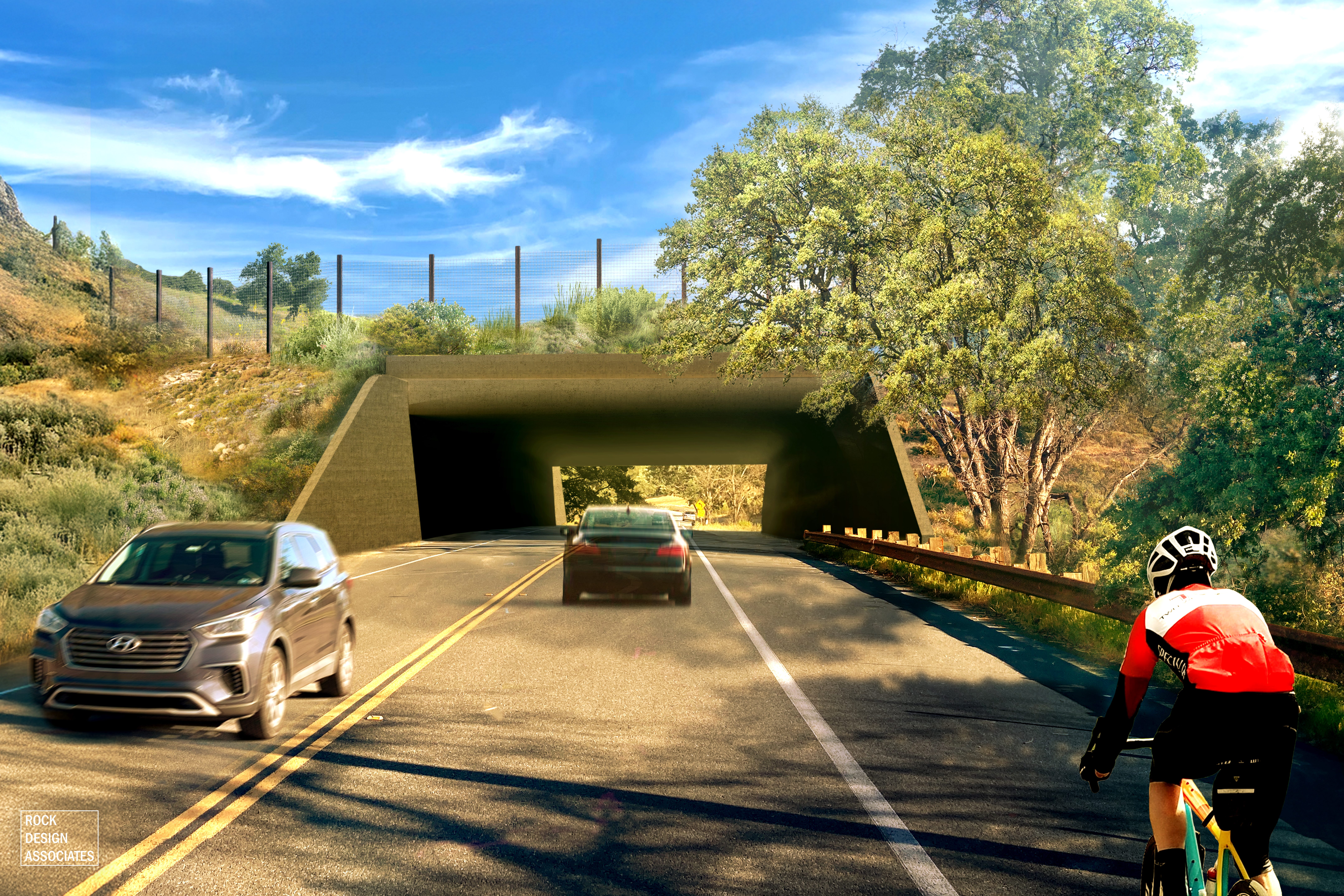 101 Freeway wildlife crossing enters final stage – NBC Los Angeles