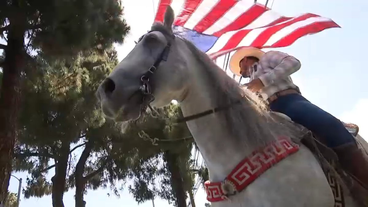 Connecting Compton Hosts Unity Ride To Denounce Immigration Raids Nbc