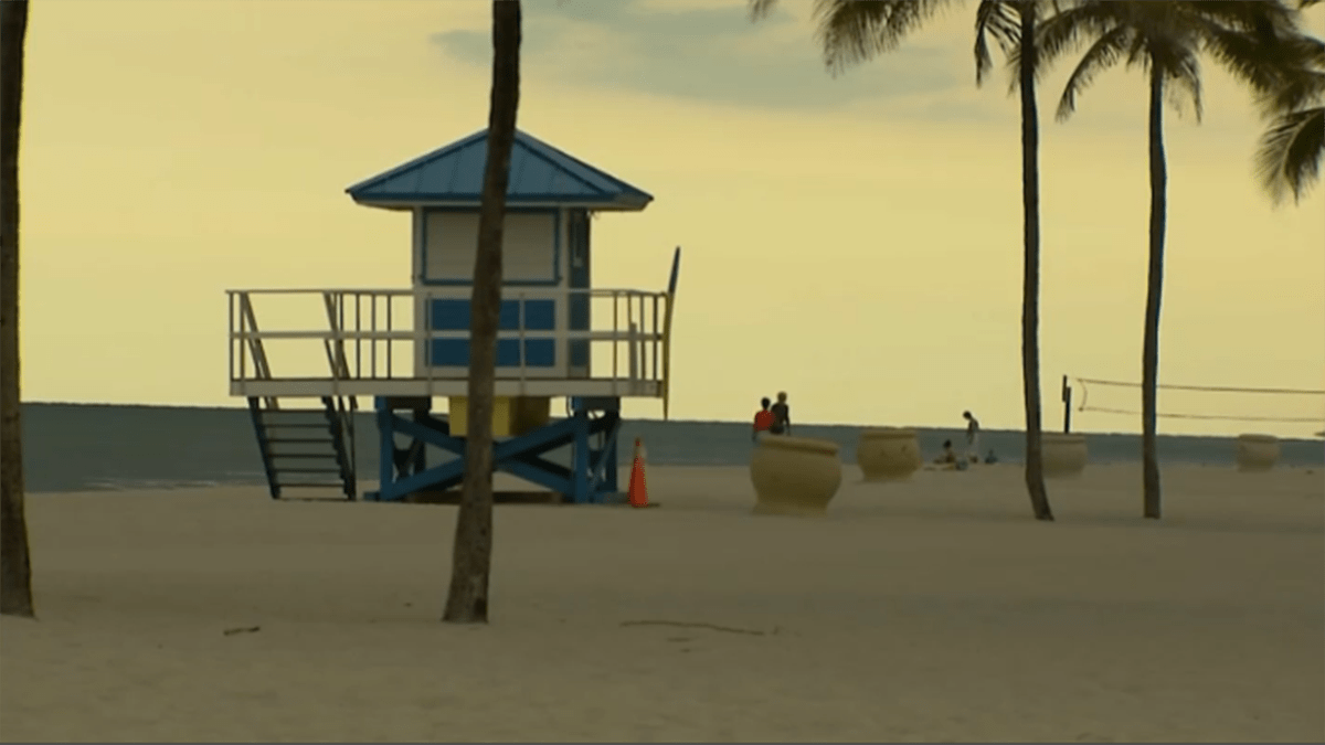 911 calls released in Hollywood shark attack – NBC Los Angeles
