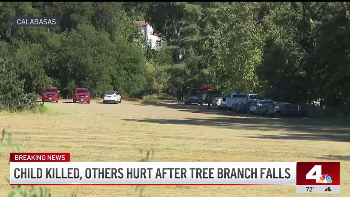8-year-old dies after being struck by fallen tree branch in Calabasas ...