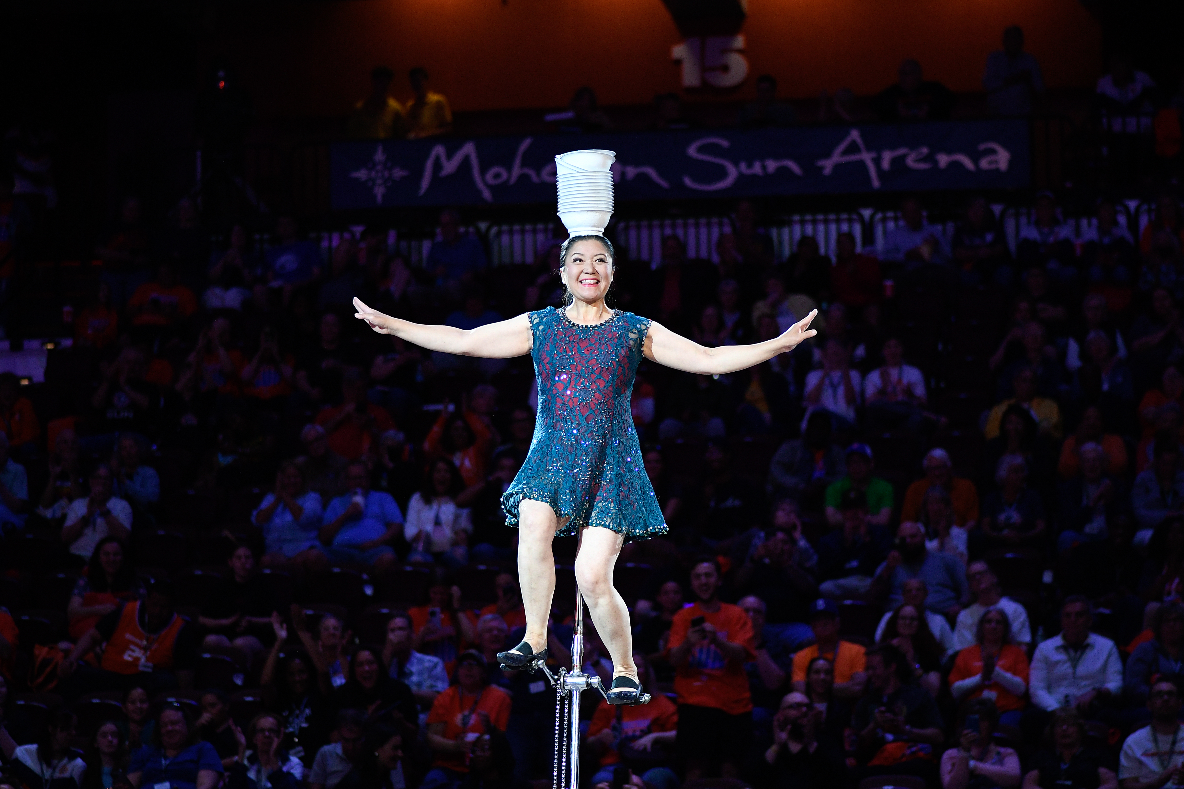 Red Panda released from hospital after fall at WNBA game – NBC Los Angeles