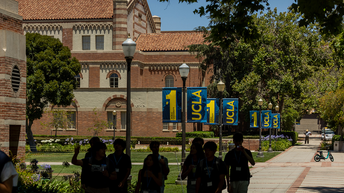 Canceled UCLA research grants total $584 million – NBC Los Angeles