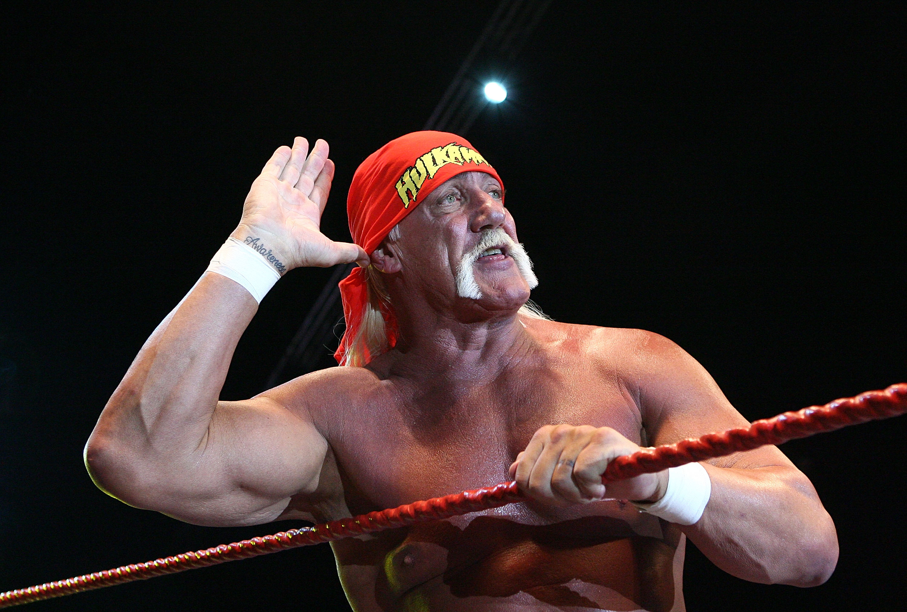 Wrestling superstar Hulk Hogan dead at 71 – NBC Los Angeles