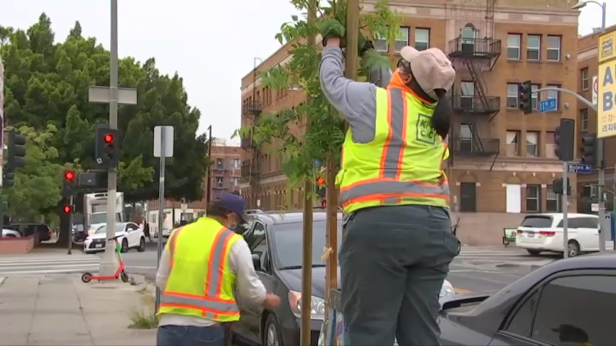 New team will brainstorm ways to provide more shade in LA – NBC Los Angeles