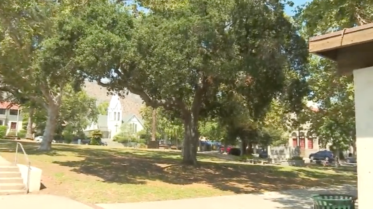 Experts recommend shade-giving trees to keep SoCal communities cool ...