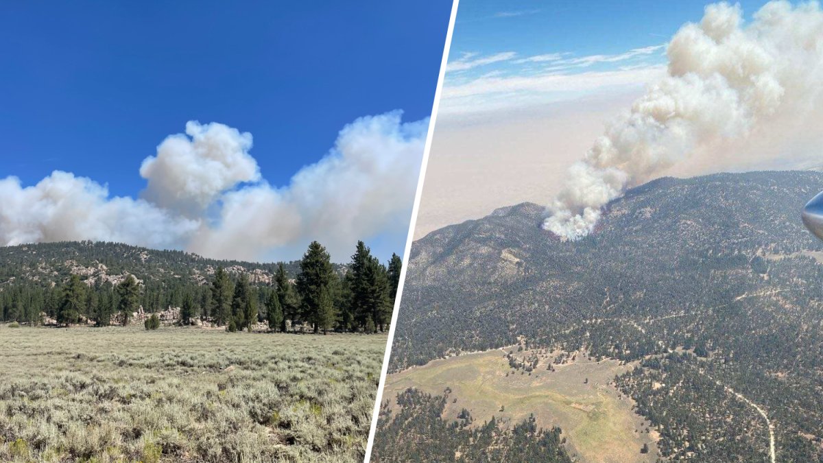 Big Bear fire grows to nearly 100 acres – NBC Los Angeles