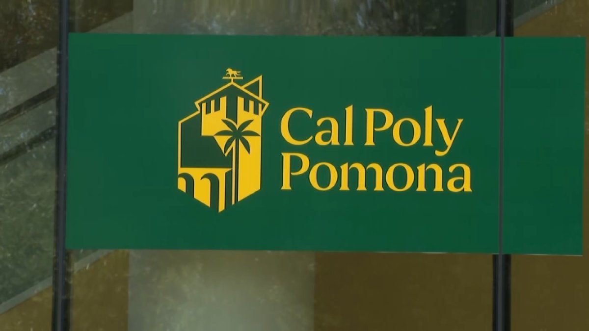 Cal Poly Pomona cancels job fair after DHS’ plan to attend – NBC Los ...