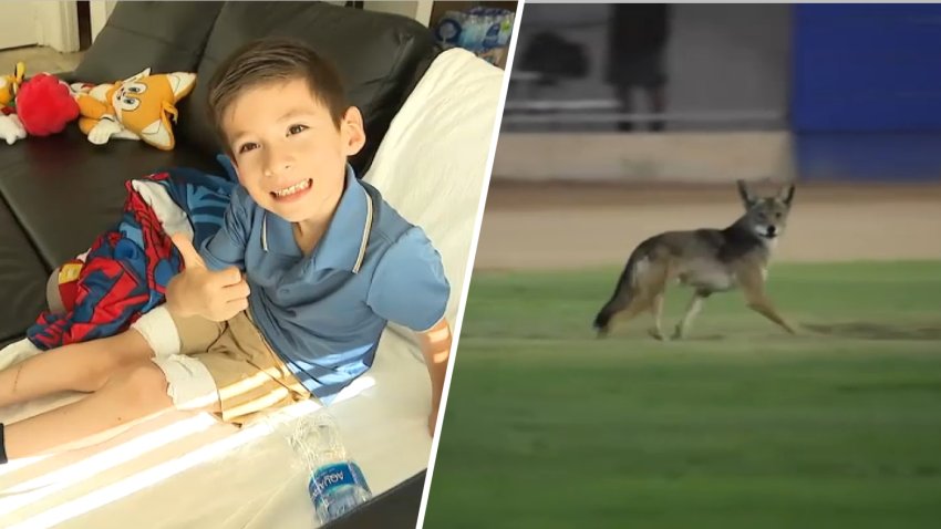 Tag: Carson – NBC Los Angeles