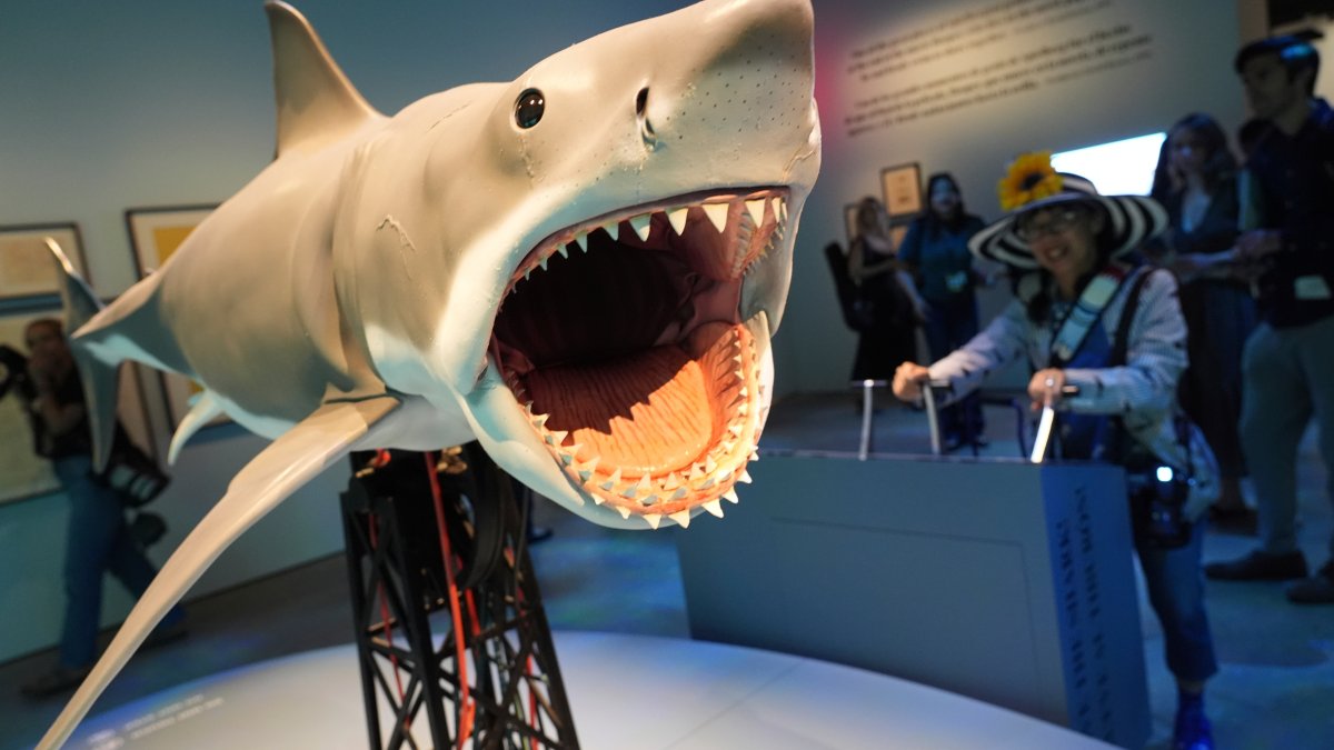 Steven Spielberg celebrates ‘Jaws’ exhibition at Academy Museum – NBC ...