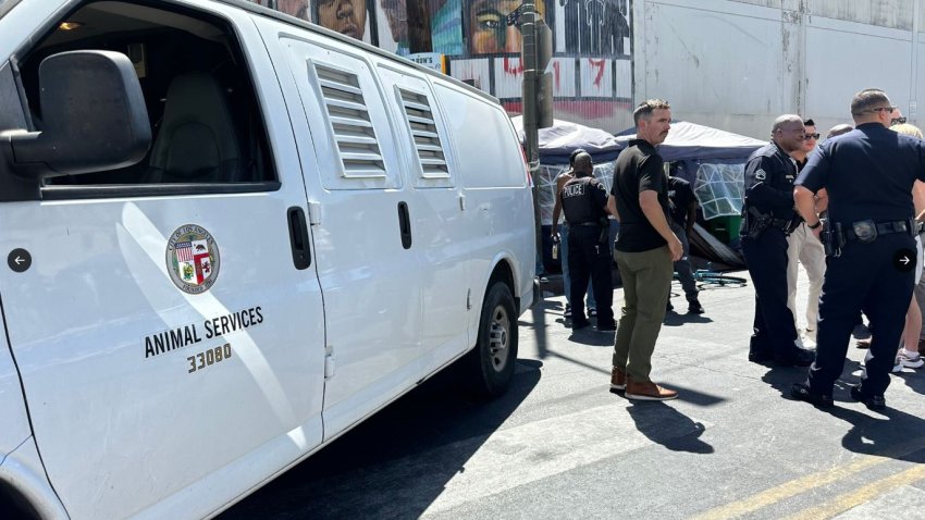 Feds in LA launch animal abuse task force – NBC Los Angeles