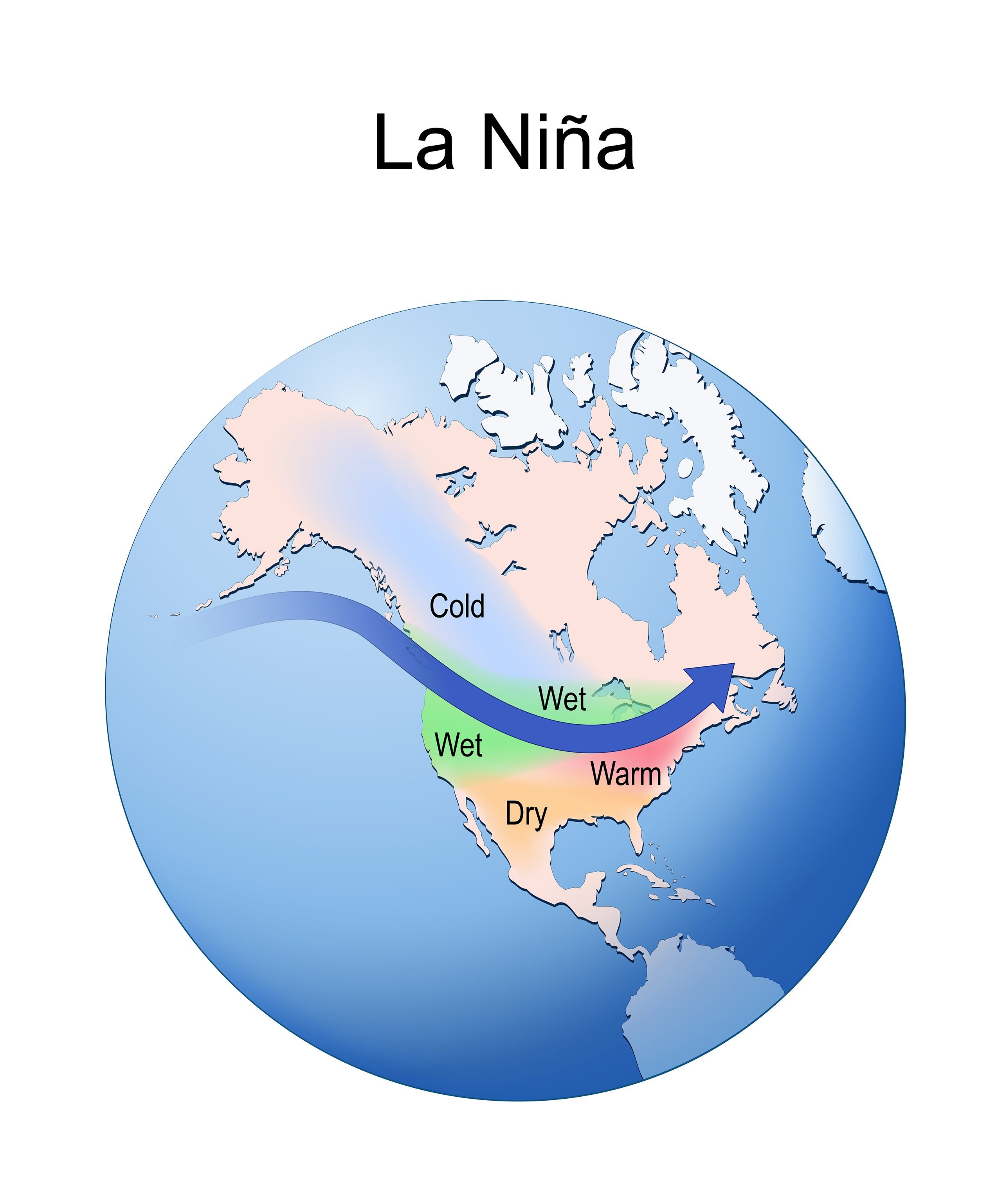 Here’s how much rain was captured during the LA storms – NBC Los Angeles