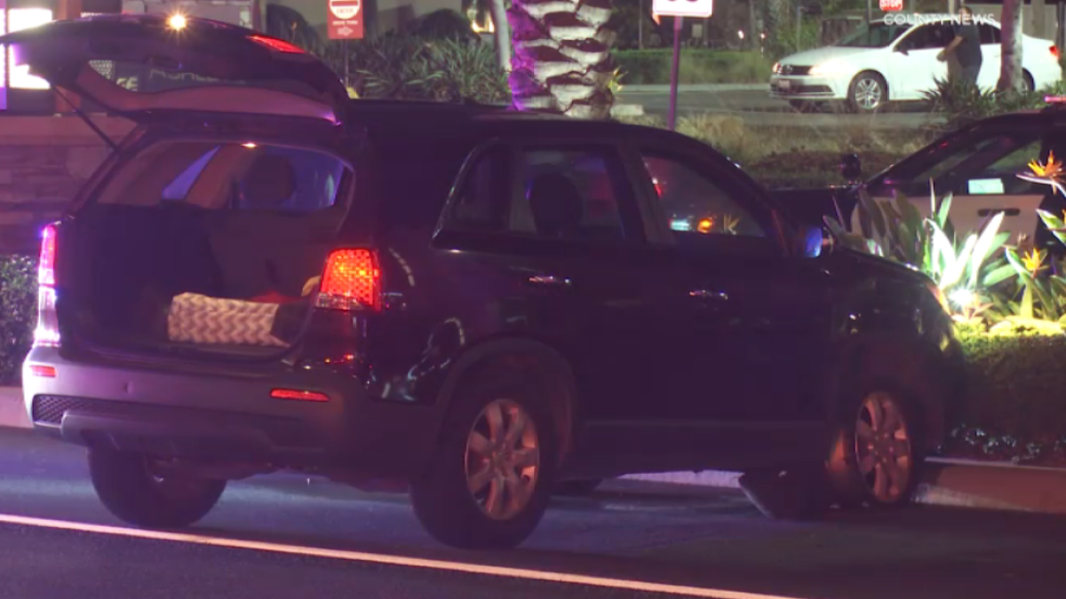 Deadly carjacking suspect shot and killed by police after pursuit in Laguna Hills – NBC Los Angeles