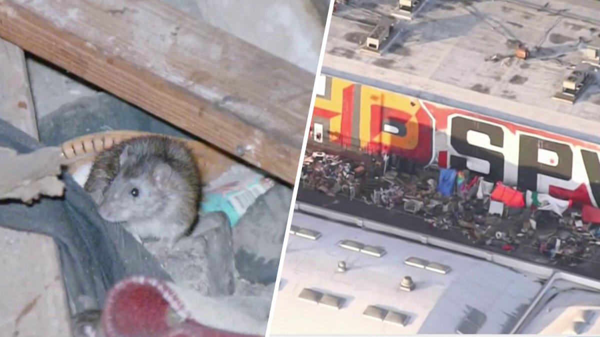 Video: Rotting produce with rats piles up on downtown LA street – NBC ...