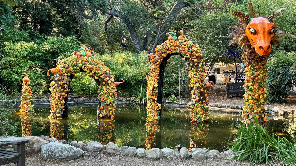 SoCal’s most celebrated sea monster got a ‘glow up’ just ahead of ...