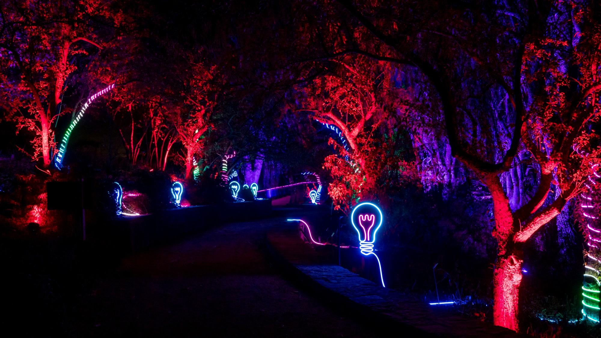 Encinitas Illuminated: Roam a lovely ‘Lightscape’ at San Diego Botanic ...
