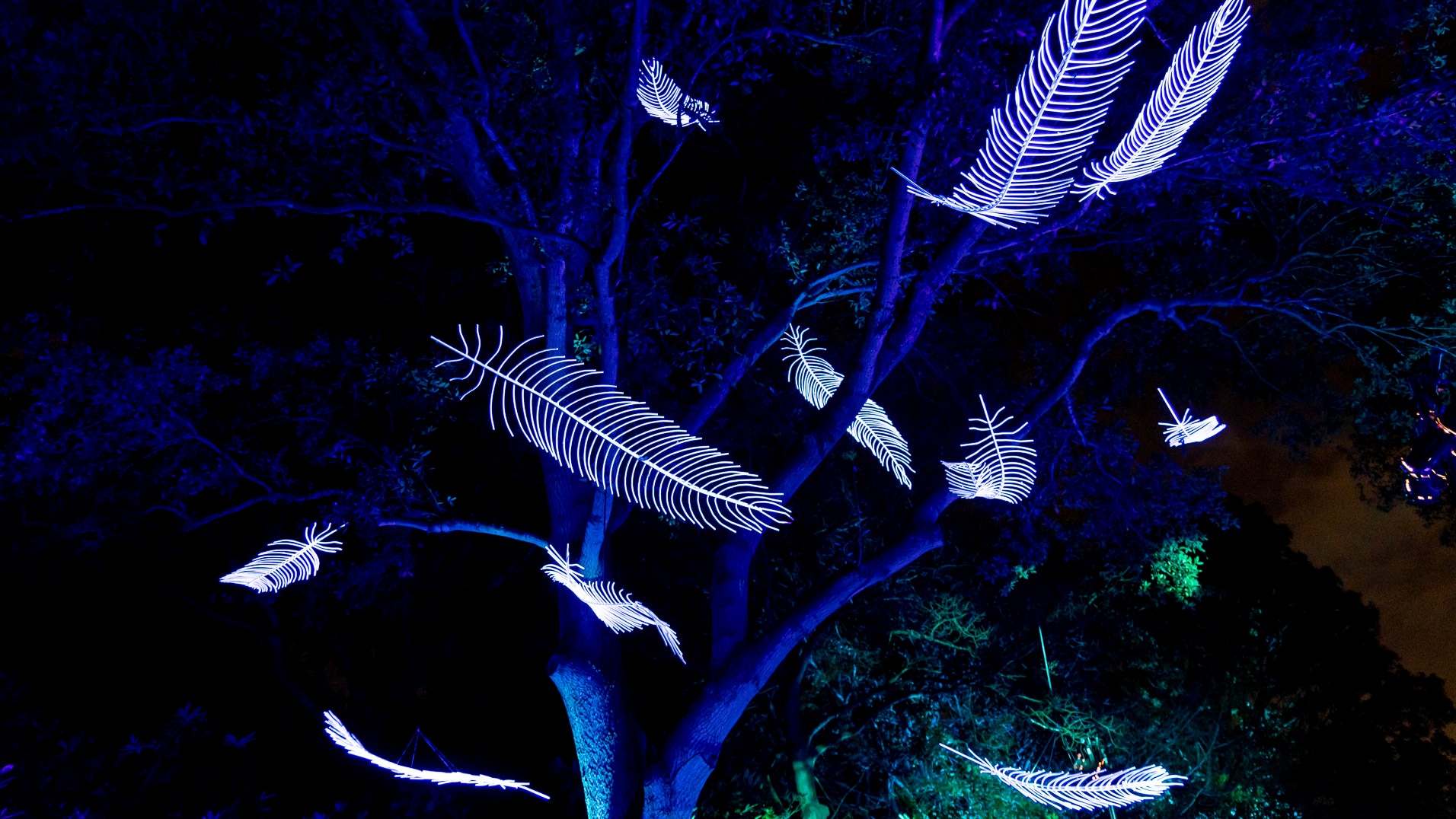 Encinitas Illuminated: Roam a lovely ‘Lightscape’ at San Diego Botanic ...