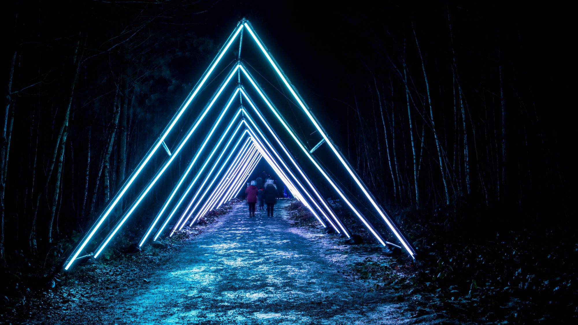 Encinitas Illuminated: Roam a lovely ‘Lightscape’ at San Diego Botanic ...