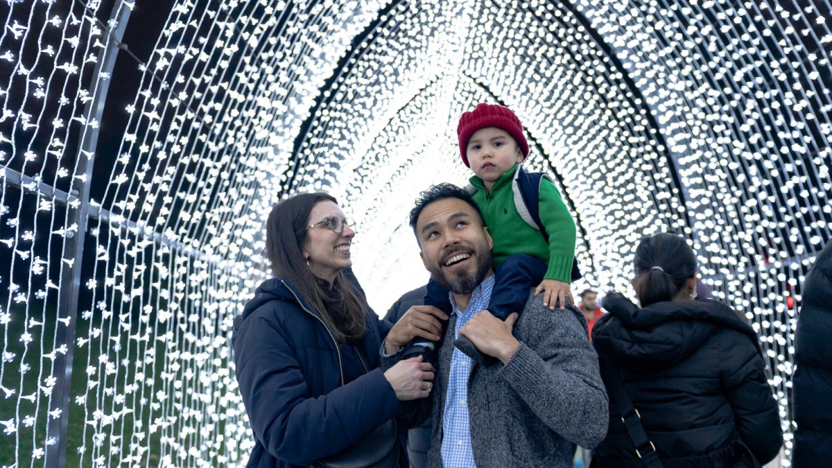 Encinitas Illuminated: Roam a lovely ‘Lightscape’ at San Diego Botanic ...