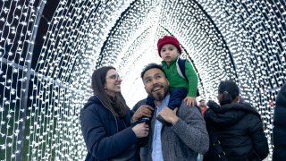 Encinitas Illuminated: Roam a lovely ‘Lightscape’ at San Diego Botanic ...