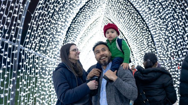Encinitas Illuminated: Roam a lovely ‘Lightscape’ at San Diego Botanic ...