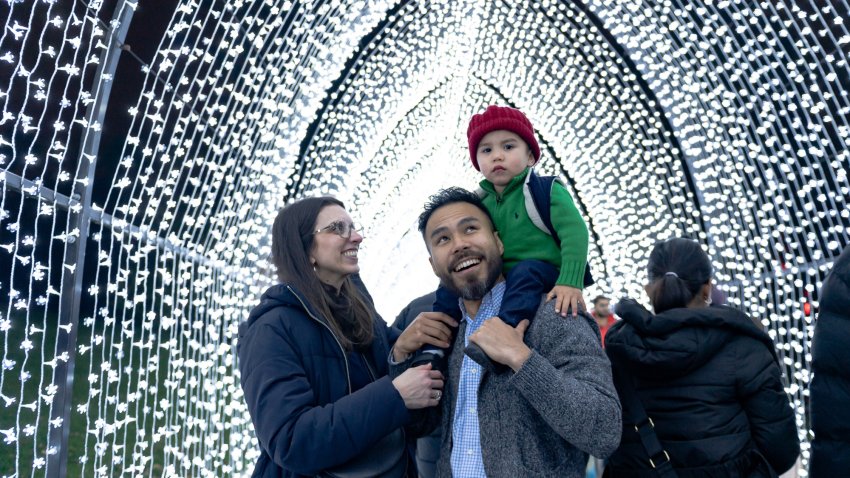Encinitas Illuminated: Roam a lovely ‘Lightscape’ at San Diego Botanic ...