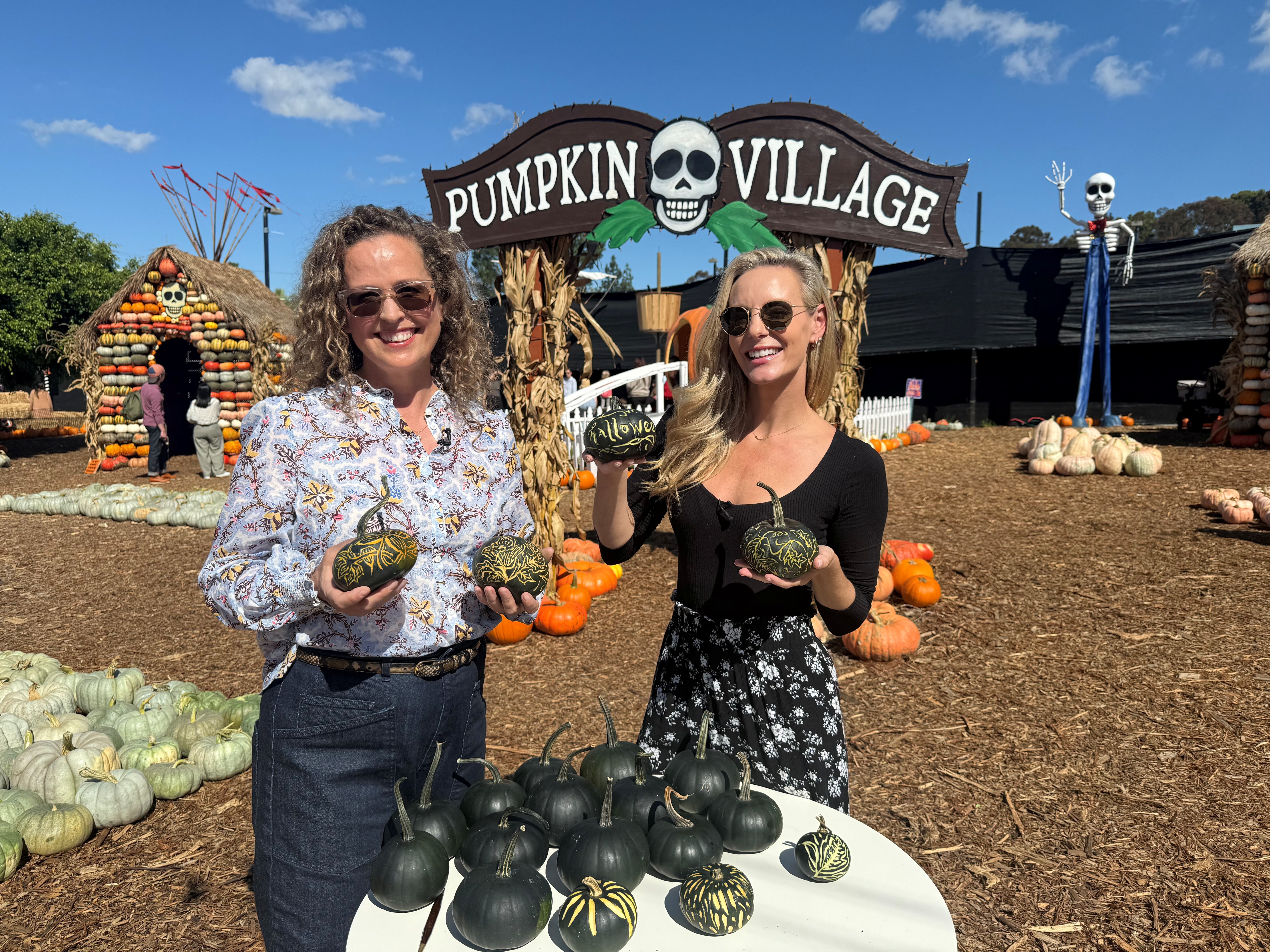 How to: Make these spooky bat pumpkins at one of LA’s biggest Pumpkin ...