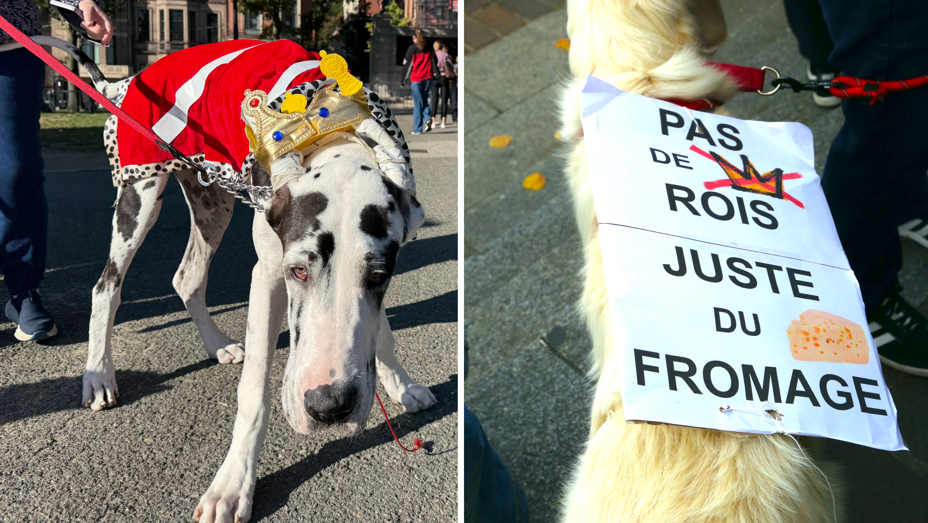No Kings protests erupt, drawing nearly 7 million people – NBC Los Angeles