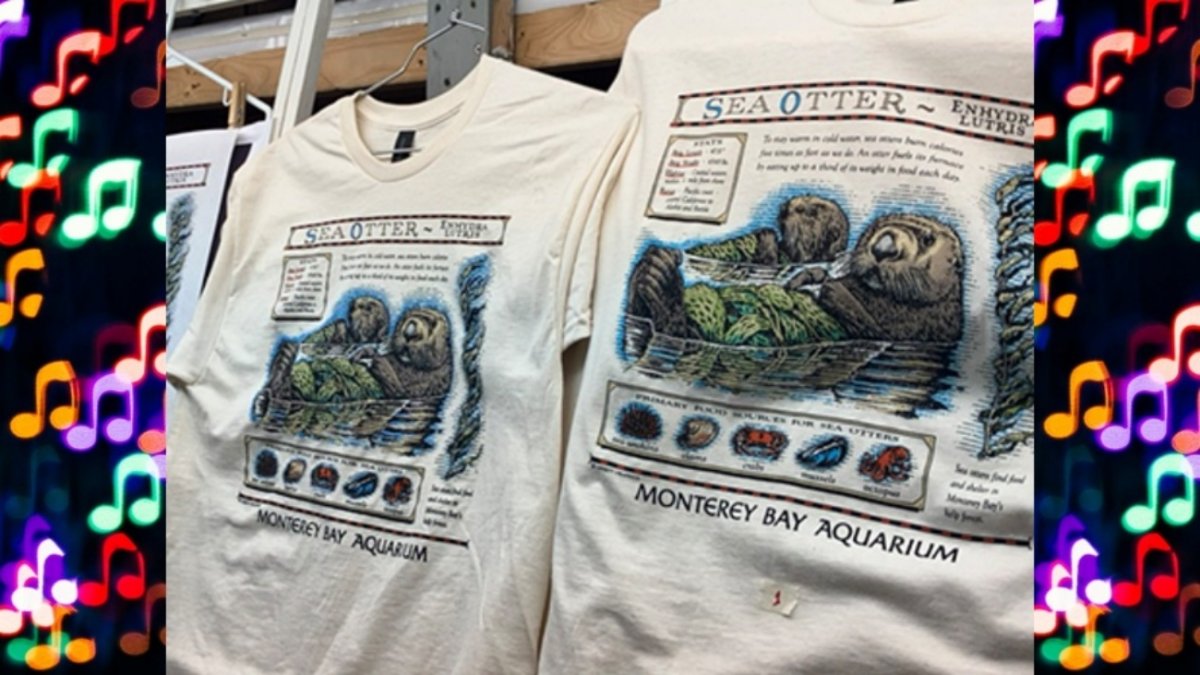 Love Taylor Swift’s otter t-shirt? Monterey Bay Aquarium just brought ...