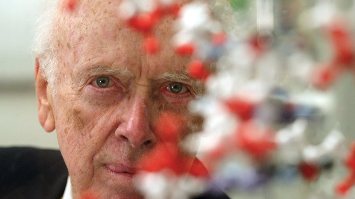 James Watson, co-discoverer of the double-helix shape of DNA, has died at age 97 – NBC Los Angeles