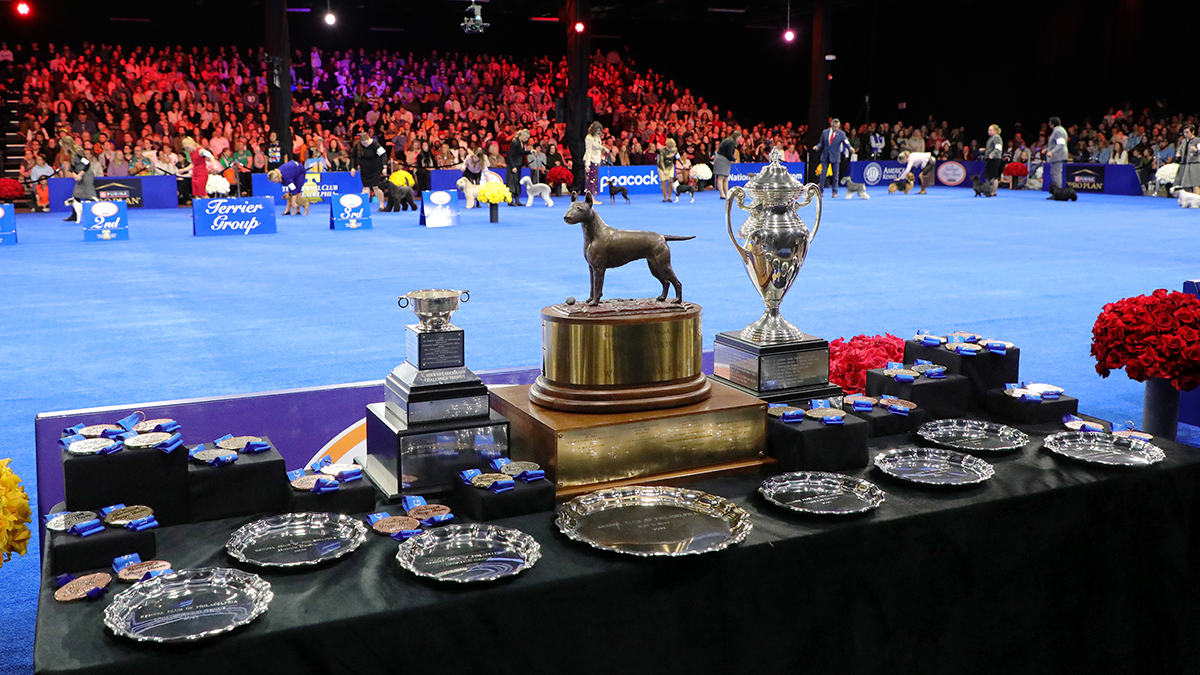 Who won the 2025 National Dog Show? – NBC Los Angeles