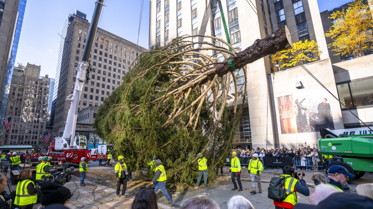 Rockefeller Center Christmas tree arrives in New York City – NBC Los ...