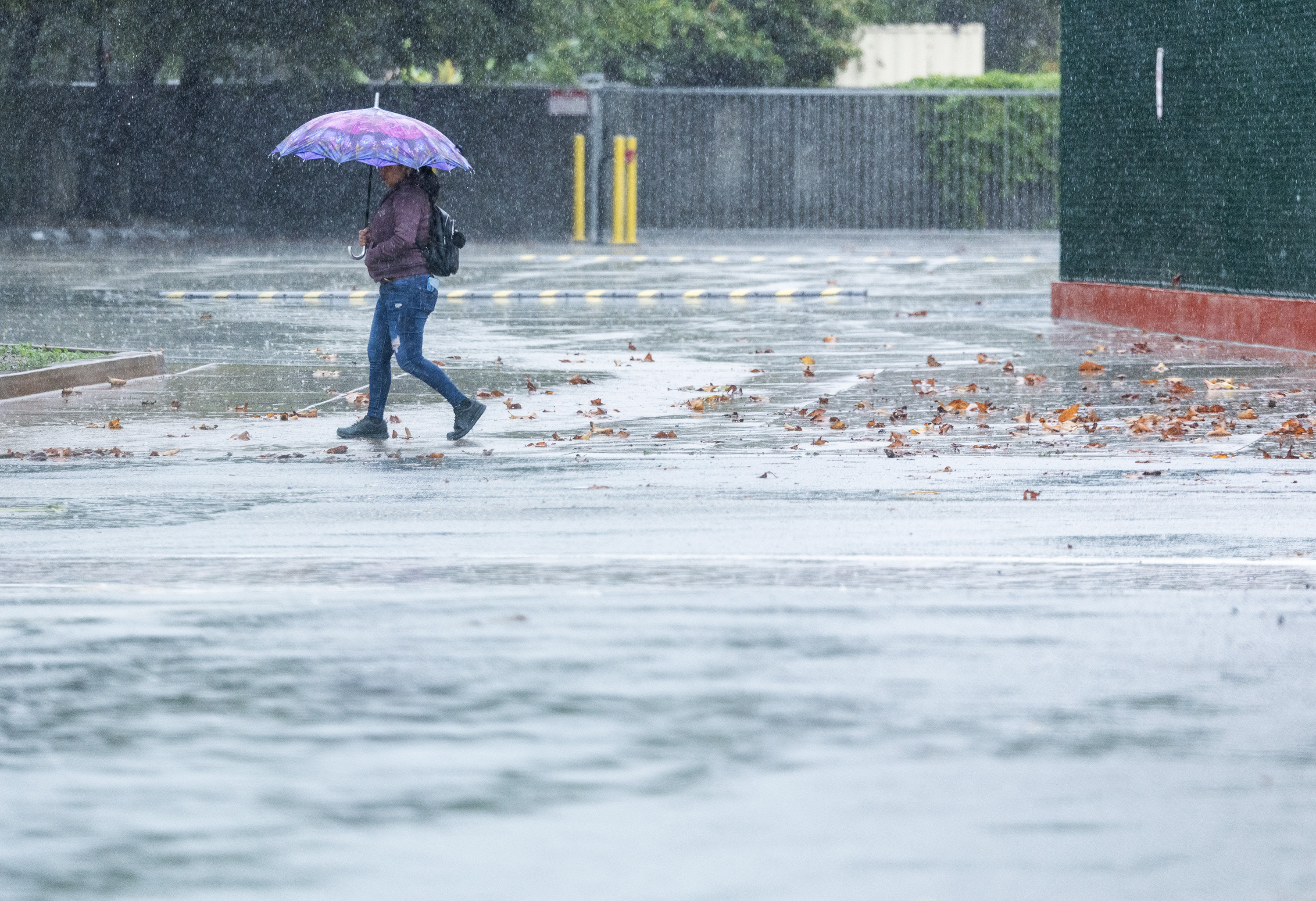 Photos: Mid-November storm brings days of rain in Los Angeles – NBC Los ...