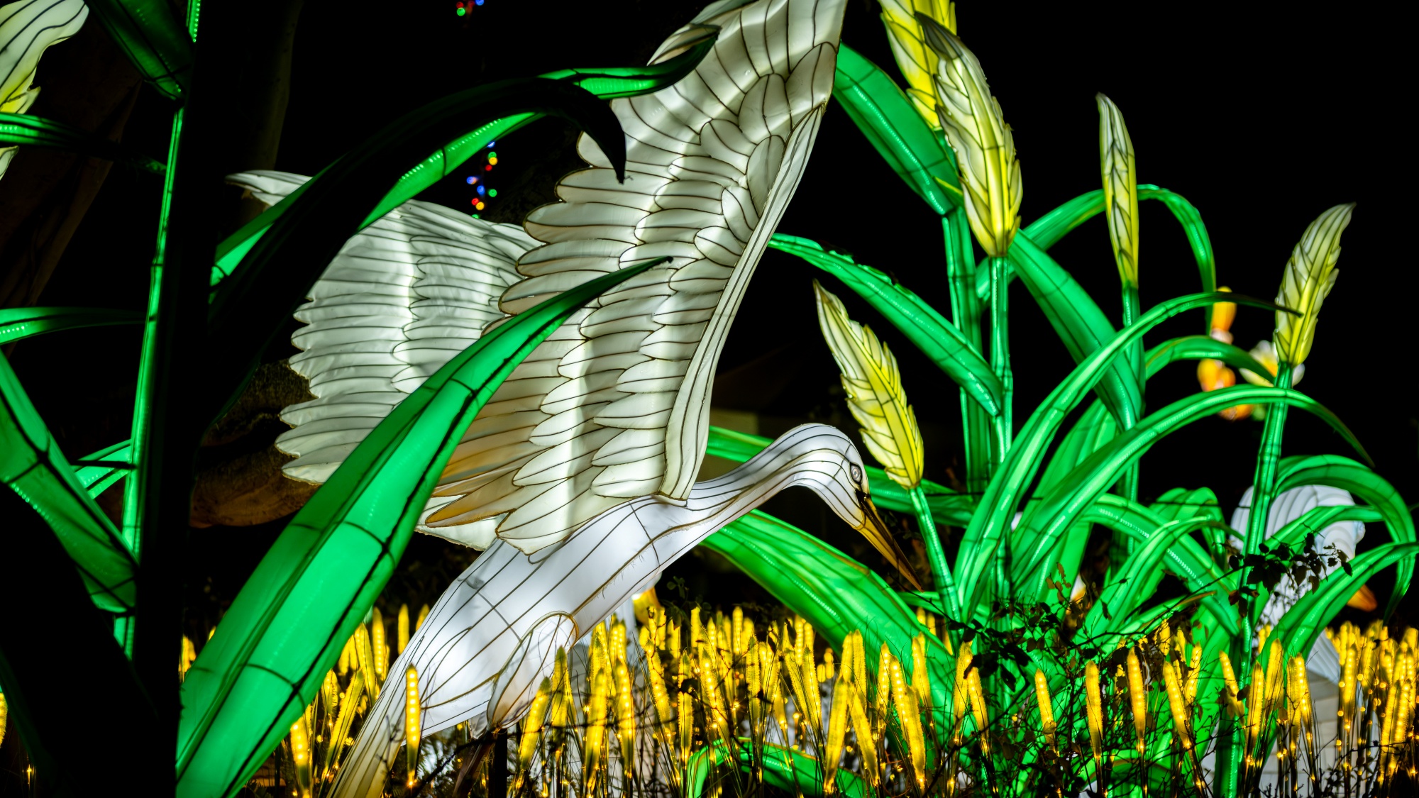 Animal-shaped lanterns and holiday lights shimmer at LA Zoo’s ‘Animals ...