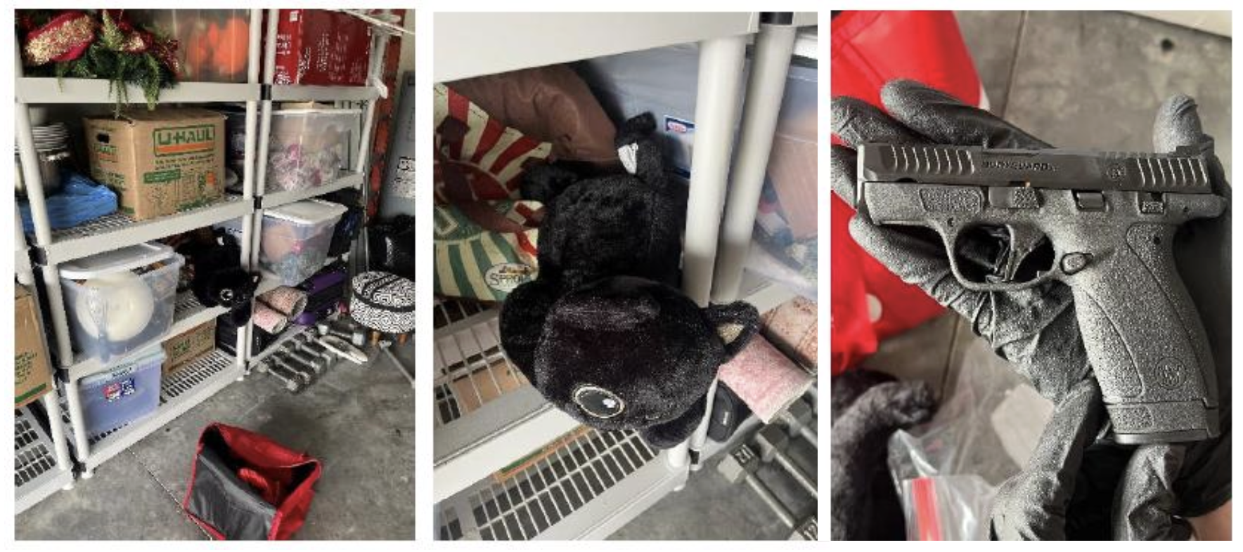 Feds urge judge to deny bail to Palisades Fire arson suspect – NBC Los ...