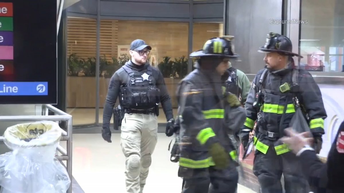 Woman set on fire on Chicago train after man pours fluid on her – NBC ...