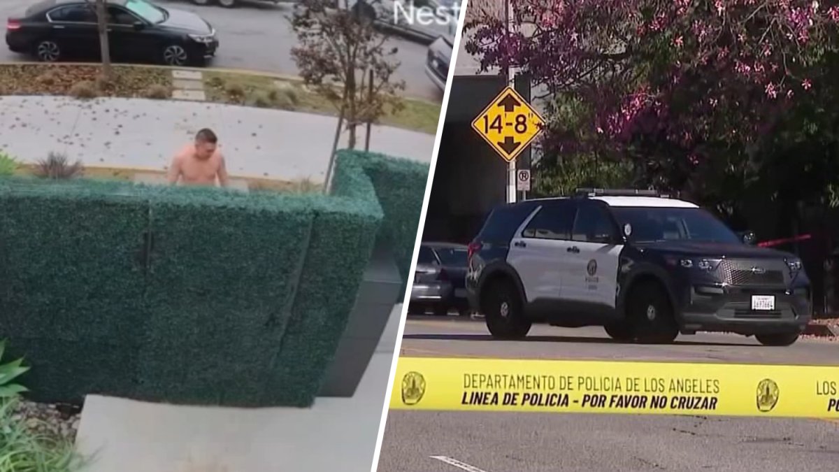Naked intruder shot by armed veteran at Studio City house – NBC Los Angeles