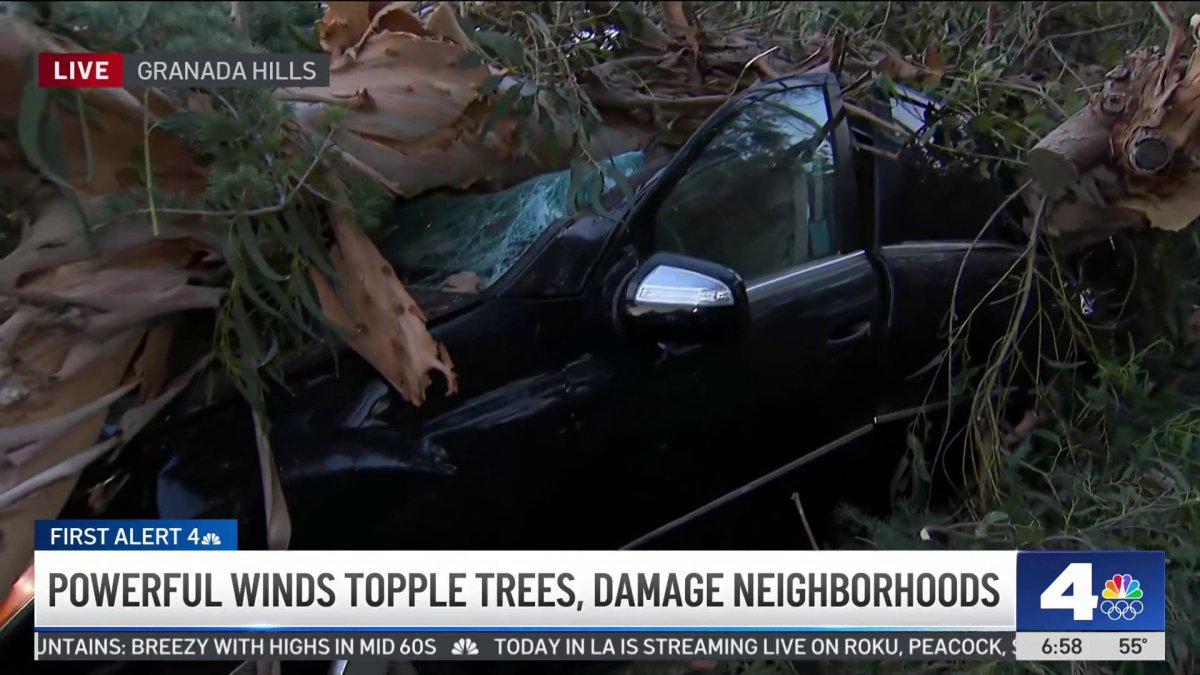 Powerful winds topple trees, damage neighborhoods – NBC Los Angeles