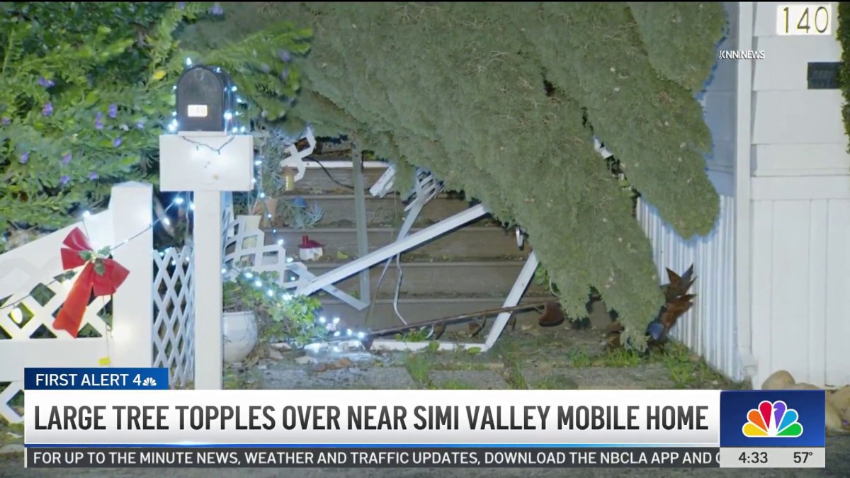 Large tree topples over near Simi Valley mobile home – NBC Los Angeles