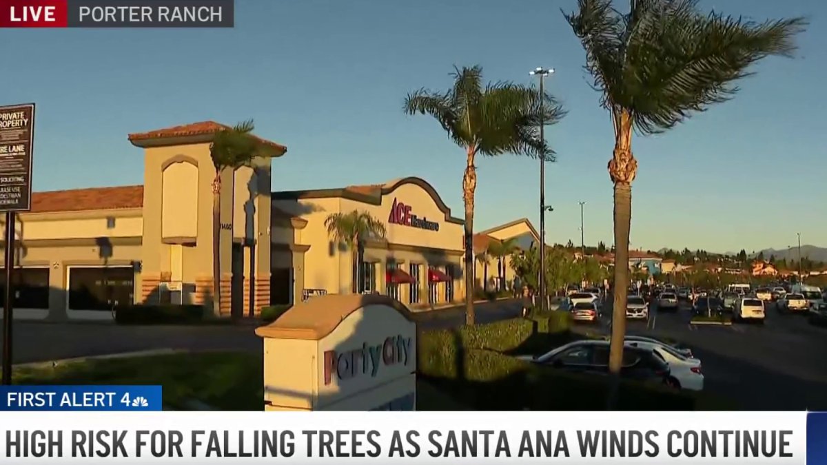 Wind advisory for Santa Clarita, San Fernando Valleys – NBC Los Angeles