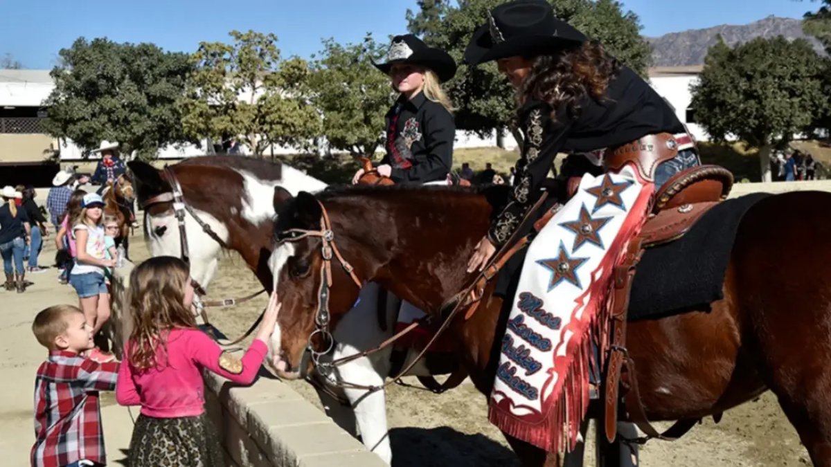 Admire the horses of the Rose Parade at the pomp-filled ‘Equestfest ...