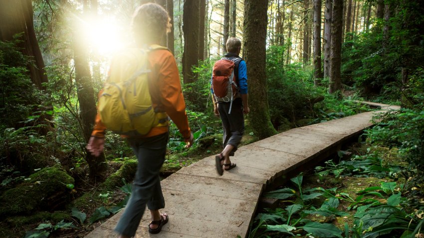 Don your kicks in 2026: Join a ‘First Day Hike’ at a California State ...