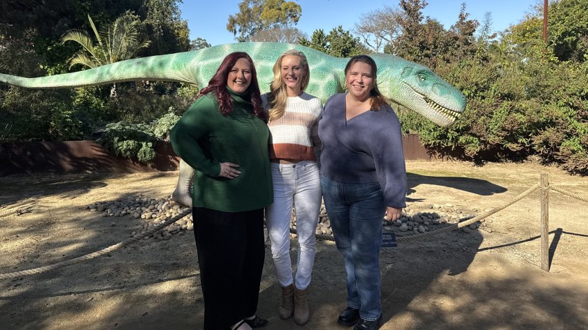 California Live – NBC Los Angeles