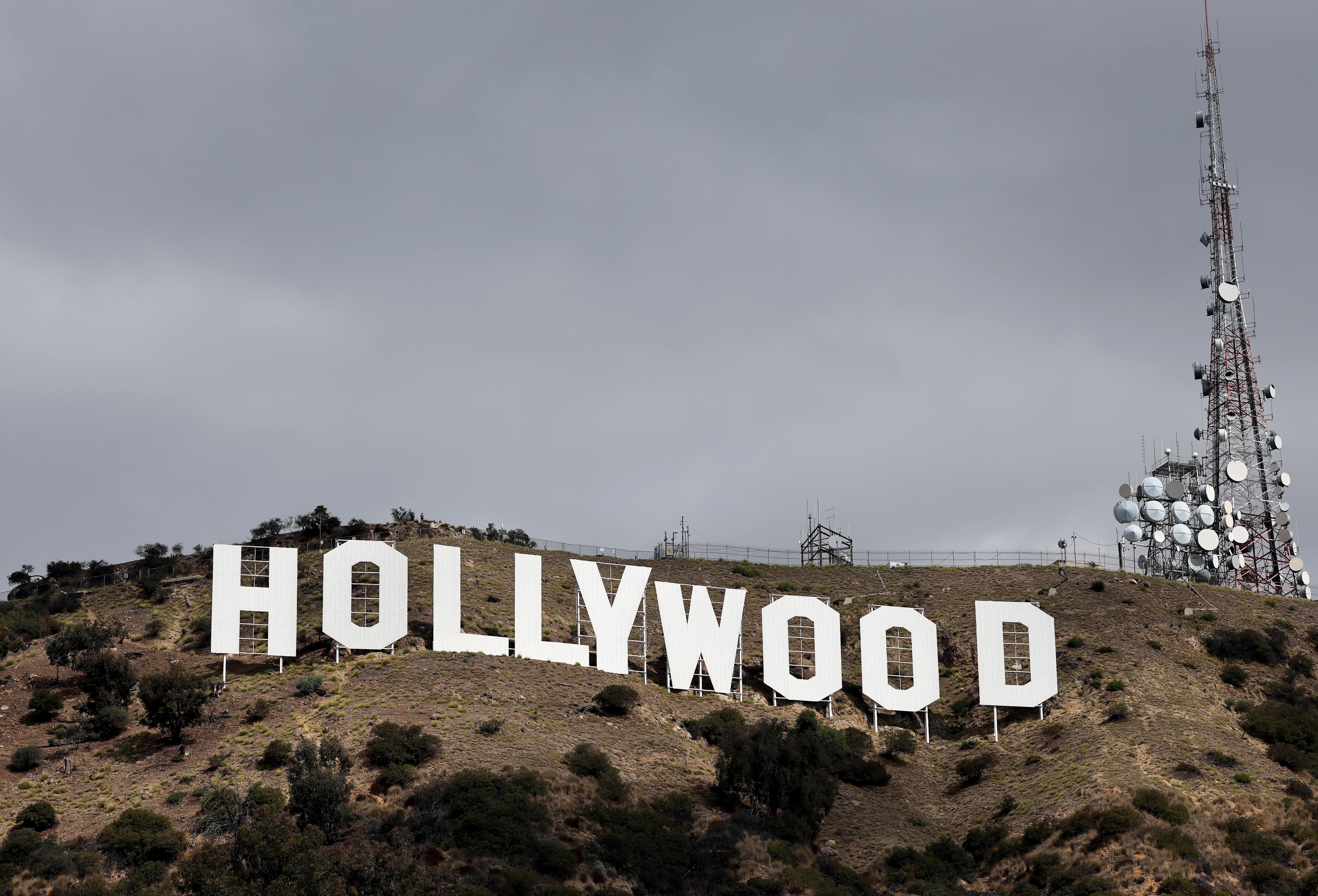 Sydney Sweeney decorated Hollywood sign with bras – NBC Los Angeles