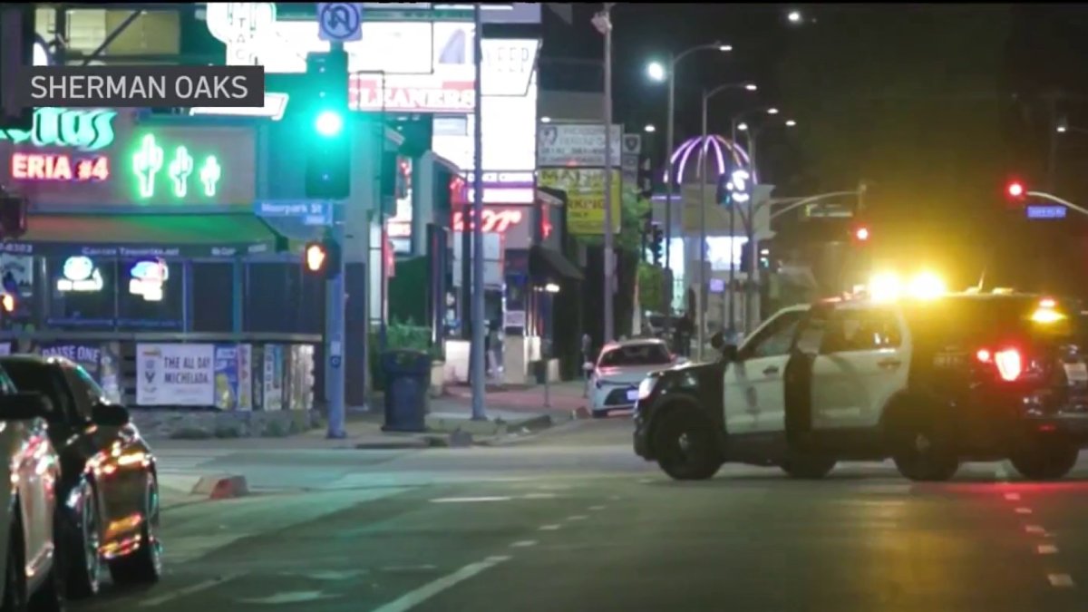 Man and dog killed in hit-and-run in Sherman Oaks – NBC Los Angeles