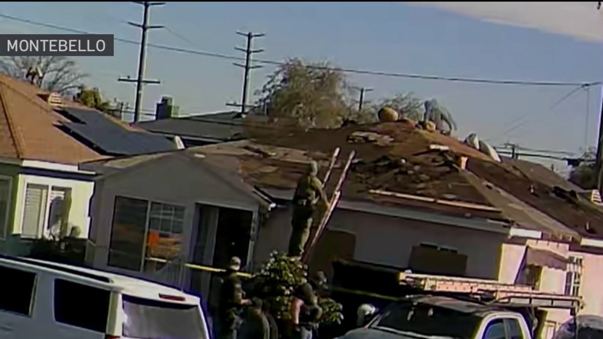 Video: Roofers jump across rooftops to evade federal agents in ...