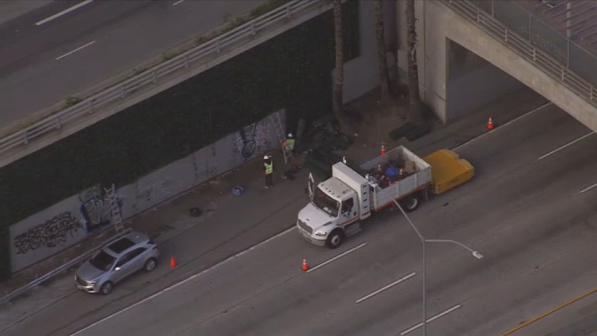 Fake ivy installed on 101 Freeway near to deter graffiti – NBC Los Angeles